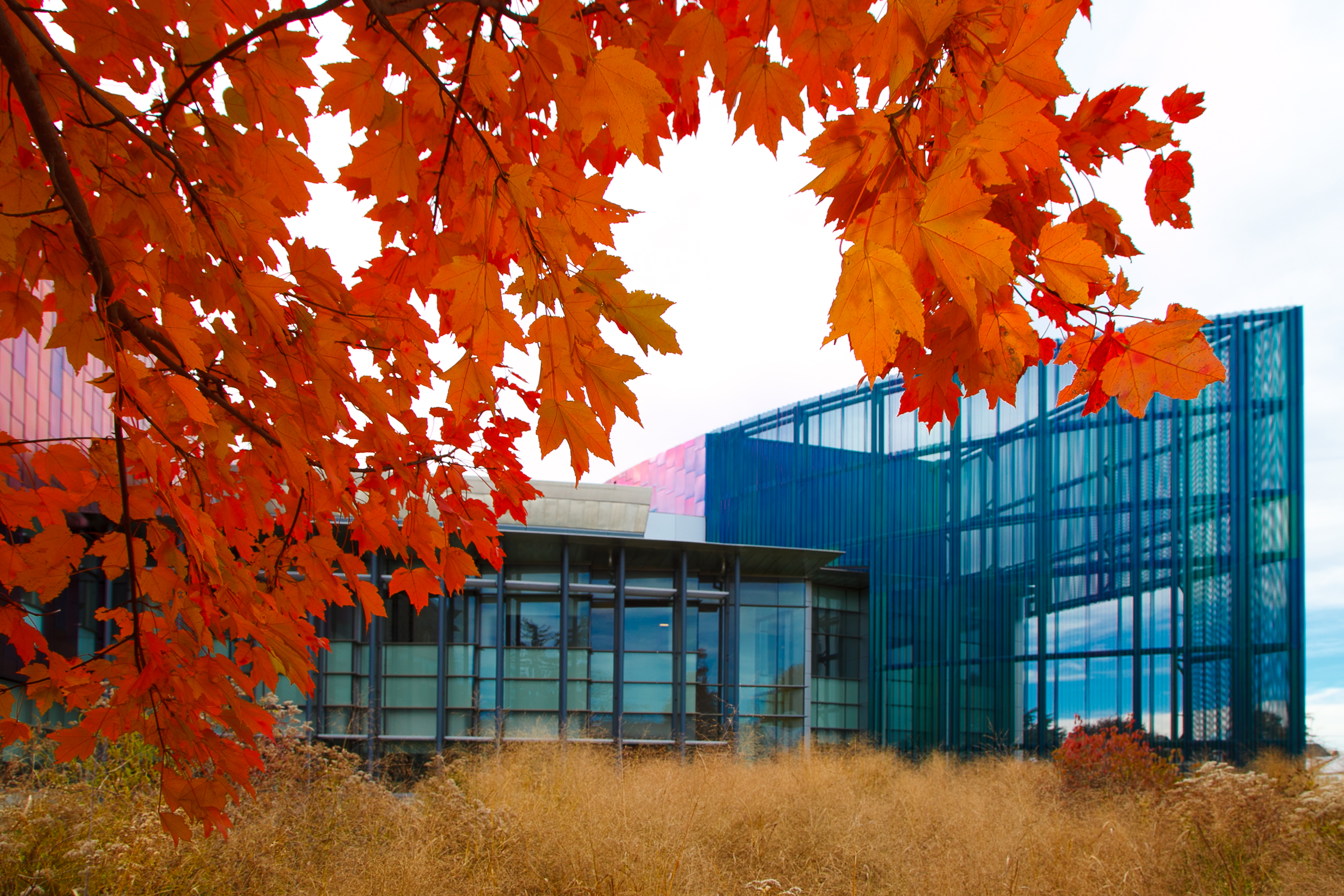 Why Dickinson Dickinson College why-dickinson-dickinson-college